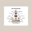 Cat Food Pyramid | Pet Feeding Guidelines | Healthy Eating ...