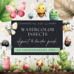 Watercolor Insects Clipart & Border Pack, Cute Spring Bugs Clipart - Etsy