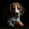 Beagle Art Digital Download Bundle, Dog Art, Printable Images, Father's ...