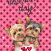 Animated Valentine’s Day GIF Bundle – Set of 5 Themed Digital Graphics ...