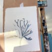 Smoky Blue Coral 3 Fine Art Print - Etsy