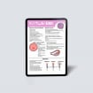 Fertilization Anatomy Poster: Midwifery Student Print (digital Download ...
