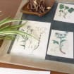 Vintage Botanic Classroom Decor - Charlotte Mason - Reggio Emillia ...