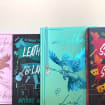 Butcher and Blackbird | Book 1 | Ruinous Love Trilogy | Brynn Weaver ...