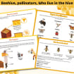 All About Bees Learning Pack | Life Cycle | Anatomy of Flower | Honey ...