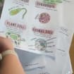 Life Science Vocabulary STEAM Worksheets, Middle School Science ...