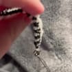 Beaded Bonefish Keychain | Glow-in-the-dark - Etsy