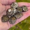 Biotite in Mica - Tumbled - 1 Stone - Etsy