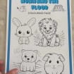Noah's Ark and the Flood 10 X Activity Worksheet Pack | Genesis 6-9 ...