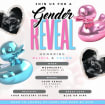 DIY Gender Reveal Flyer Template: Blue or Pink Invitation (canva ...