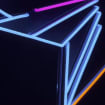 Hummingbird Neon LED Acrylic Sign: Animal Night Light | Perfect Neon ...