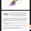 Hummingbird Study Lesson Plan | Anatomy Chart, Labels, & Worksheet for ...