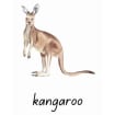 Australian Animal Montessori Nomenclature 3 Part Classification Cards ...