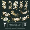 White and Gold Flower Vine Watercolor Clipart PNG, Wedding Graphics for ...