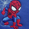 Embroidery Design Spiderman, Machine Embroidery File Spider Man ...