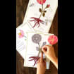 Parts of a Plant, Anatomy of a Plant, 3 Part Cards of Plant, Plant ...