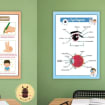 Healthy Posture and Eye Care Bundle for Kids: Improving Physical and ...