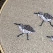 Sand Piper Embroidery Pattern PDF - Etsy