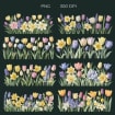 Spring Flower Border Clipart, Digital Download PNG, Paper Crafting ...