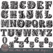 Floral Alphabet Letters SVG, Decorative Monogram Bundle PNG, Ornamental ...