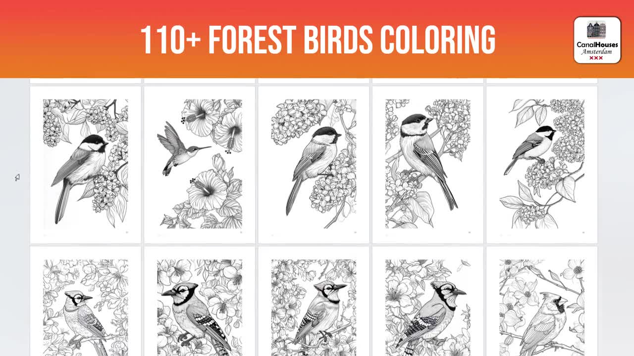 creative coloring birds art activity pages to relax and enjoy