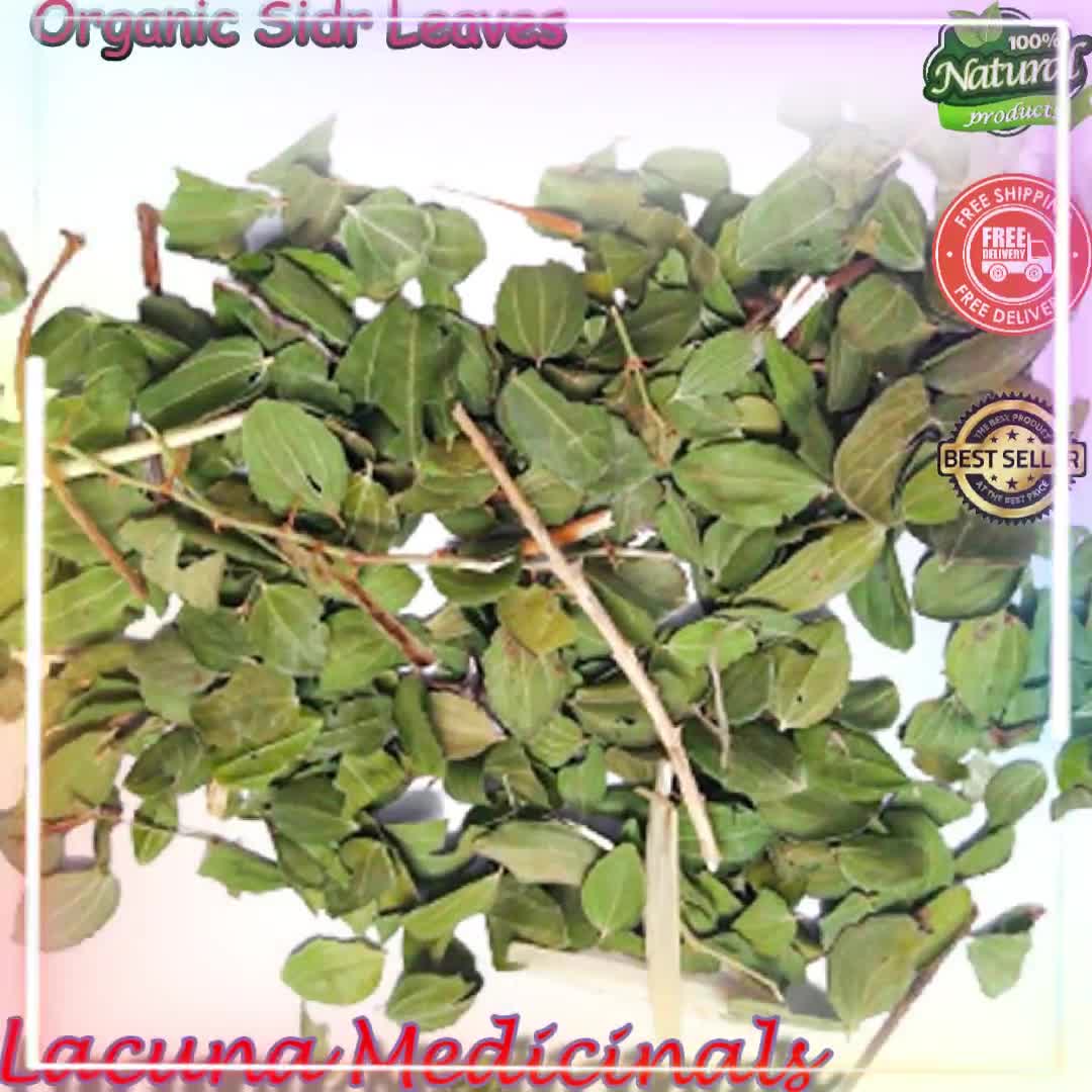 Lote Tree Leaves