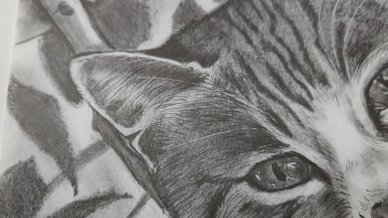 Eenvoudige Kat Potloodtekening