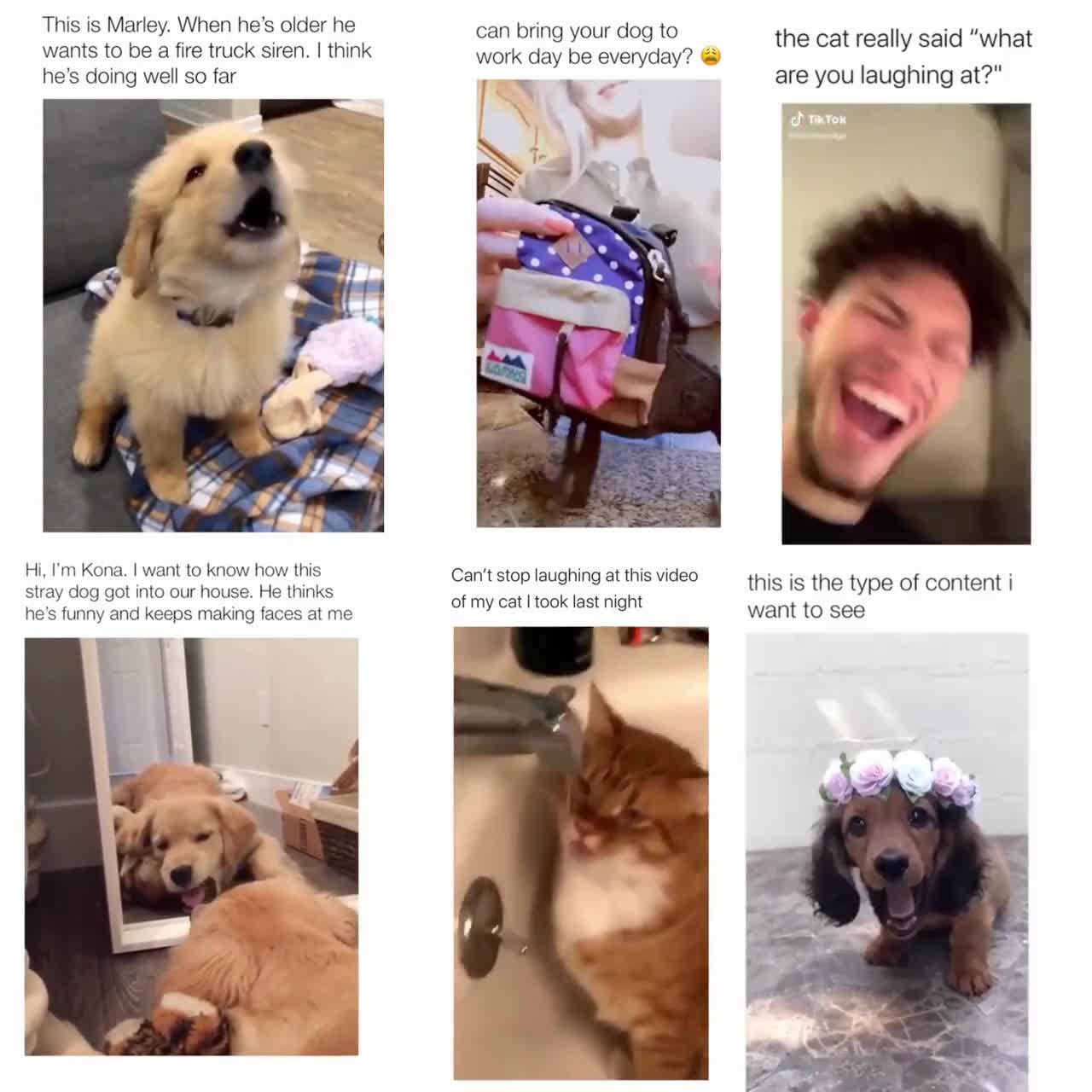 Memes Bundle Boutique