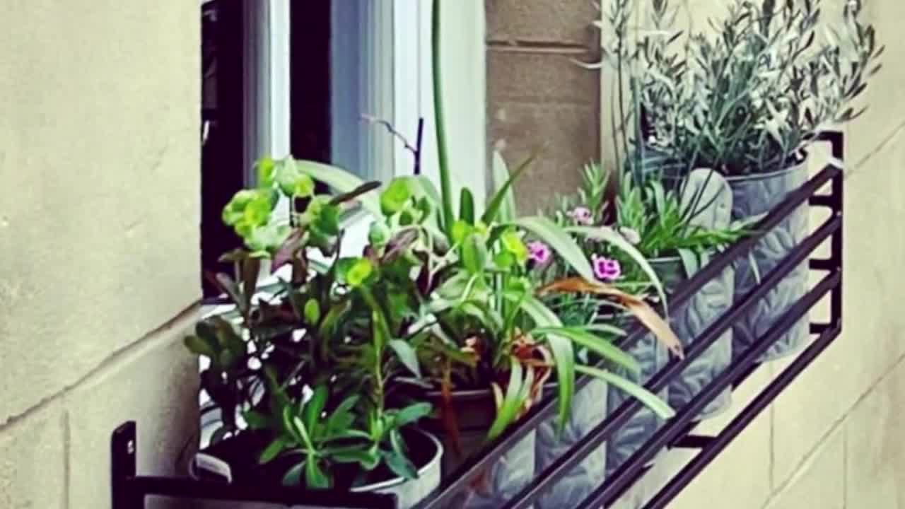 Metal Window Boxes Ideas