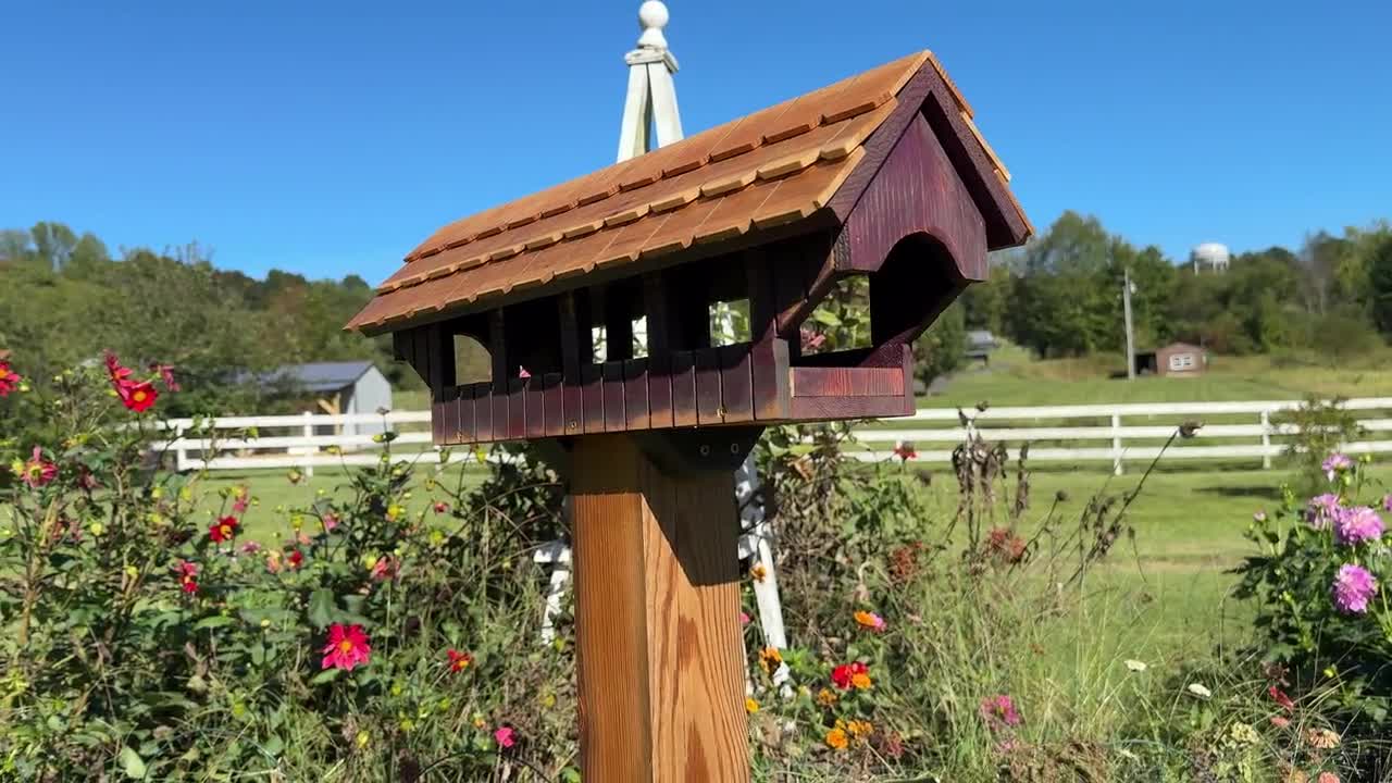 Covered Bridge Bird Feeder Plans Amazon.com : Bird In Hand Amish Made