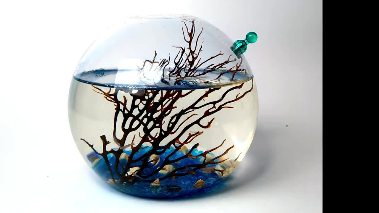 Shrimp With Glass Globe