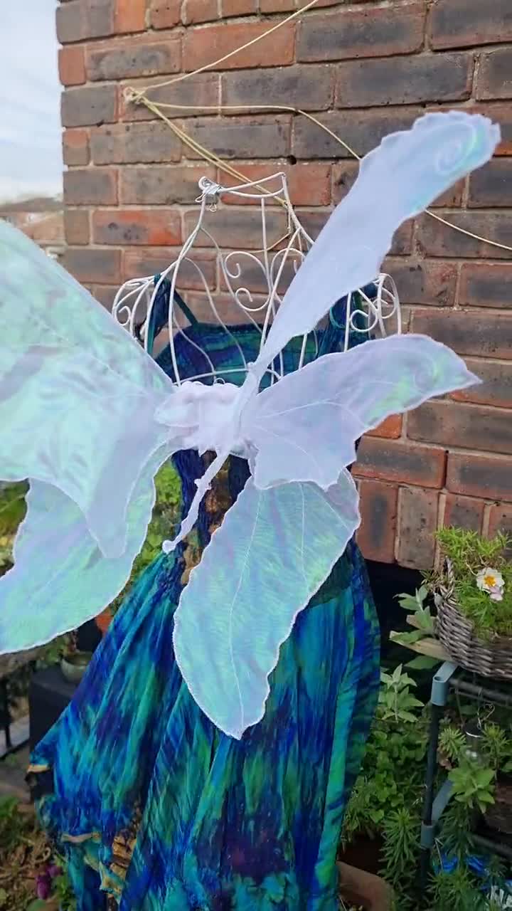 Wind Fairy Wings