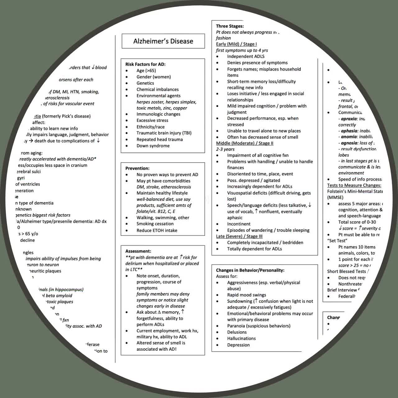 Endocrine System Concept Map Key In 2020 Endocrine System Concept