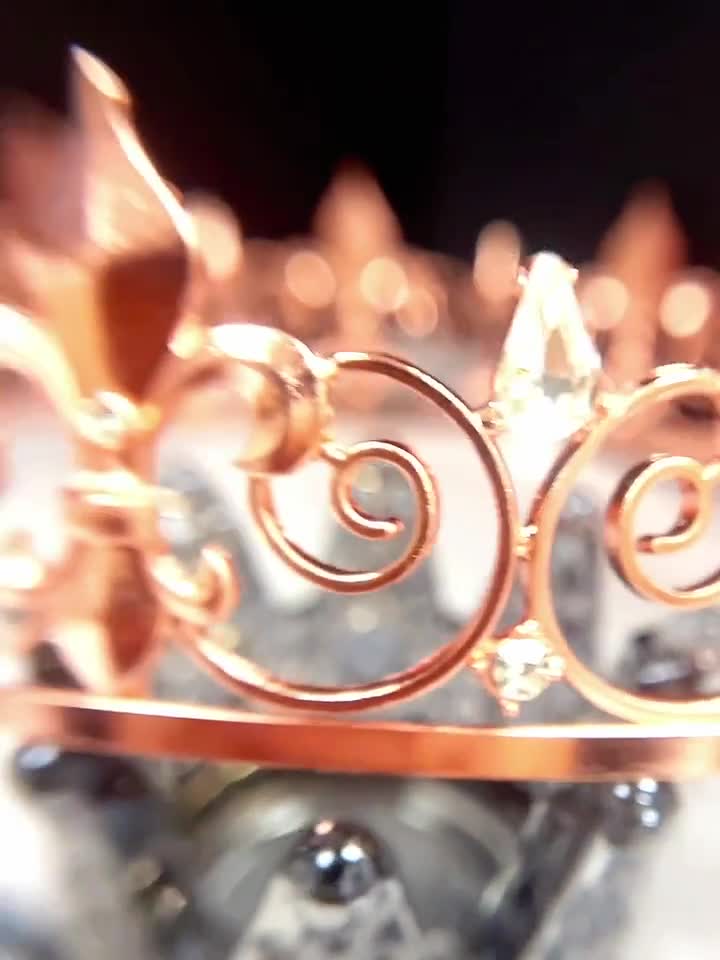 Plastic Crown Vofler King Crown, Prince Costume Royal Medieval Fleur De ...