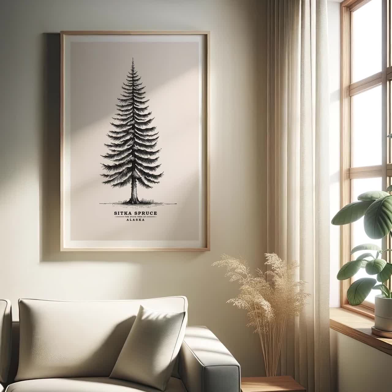 Alaska State Tree Drawing