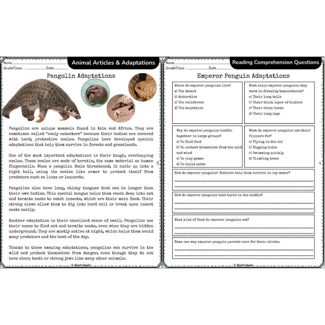 Desert Animal Adaptations Worksheet