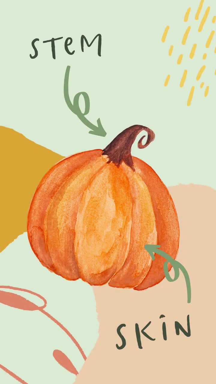 Etiquetar Partes De Una Calabaza