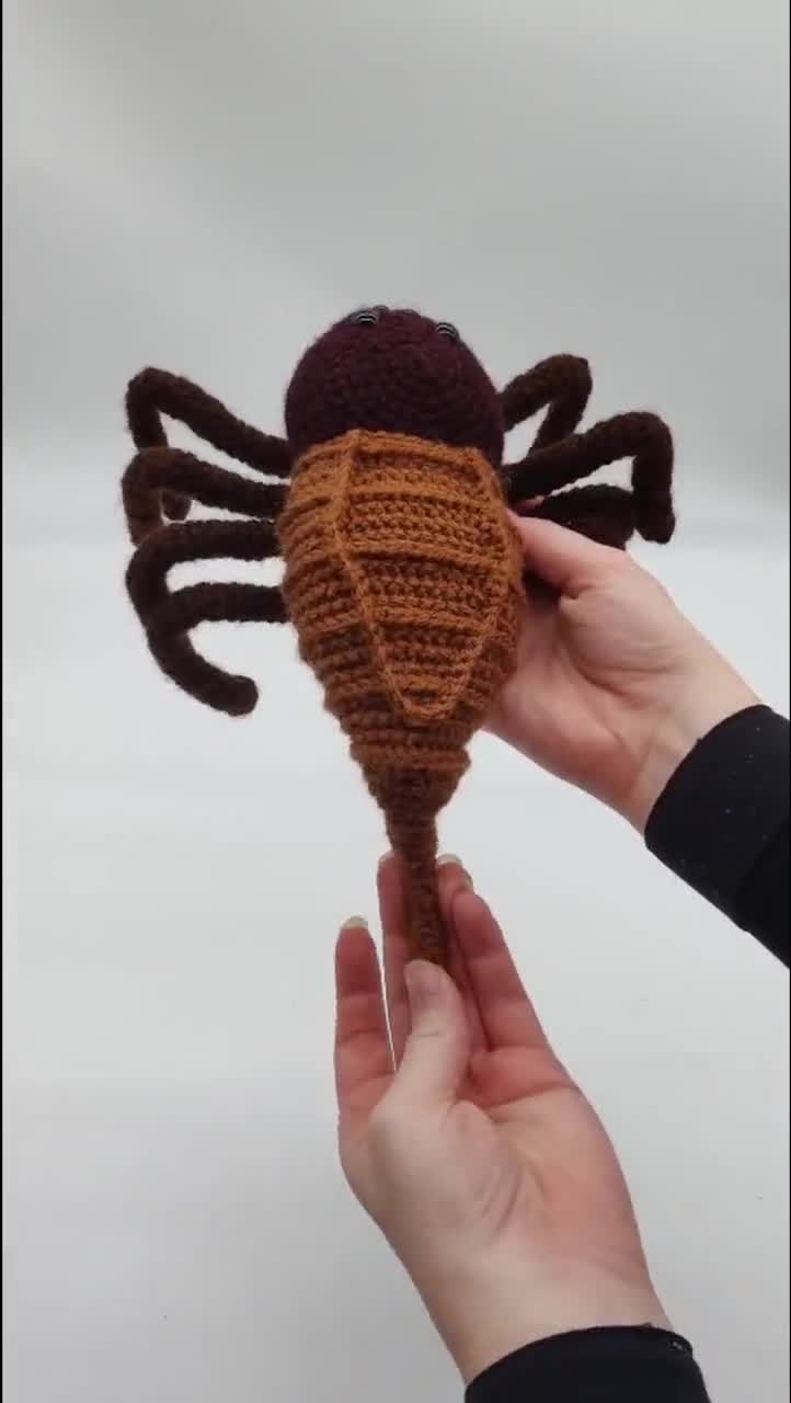 Attercopus Spider Ancestor Made Silk—Possibly Using It For Sex—But