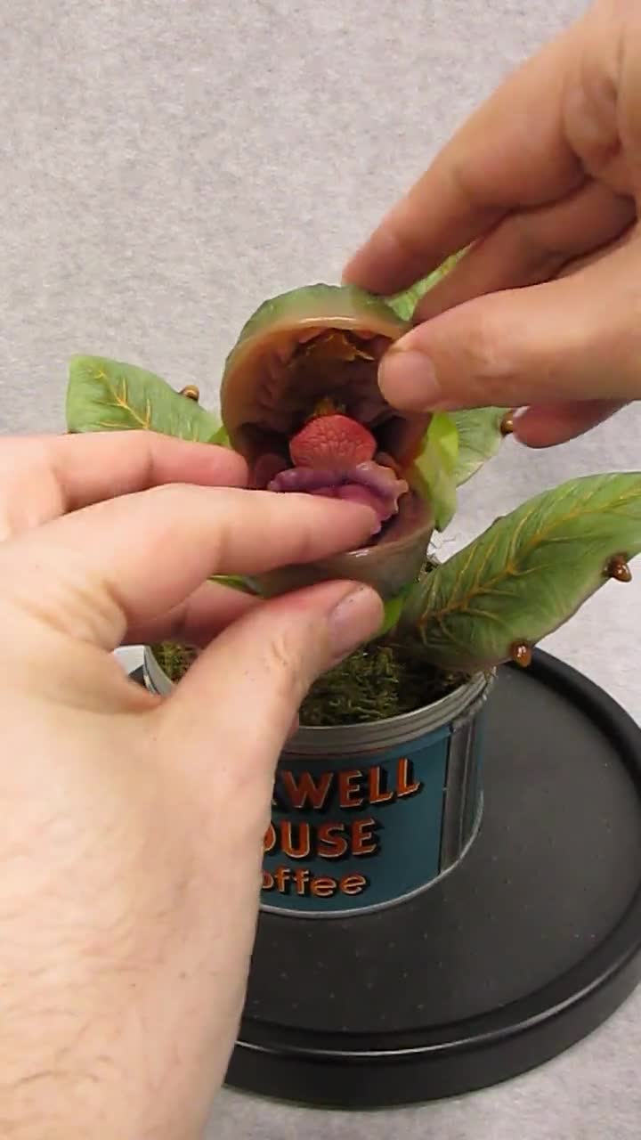 Baby Audrey Ii