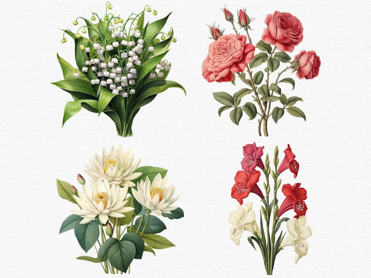 Constitutionalism Clipart Of Flowers
