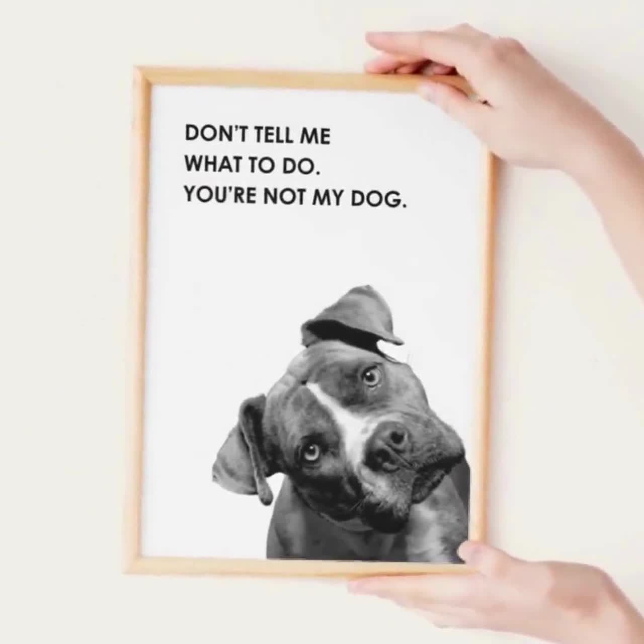 Funny Sayings About Veterinarians Funny Dog Quote Printable Wall Art