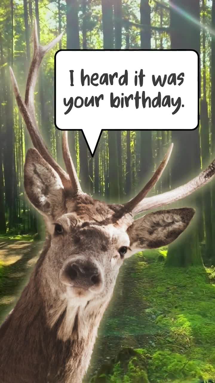 Funny Birthday Cards For Men Deer Hunters