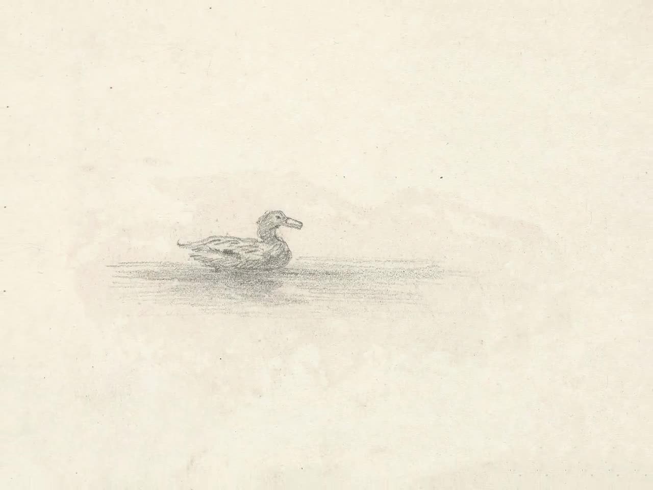 Duck Drawings Hard