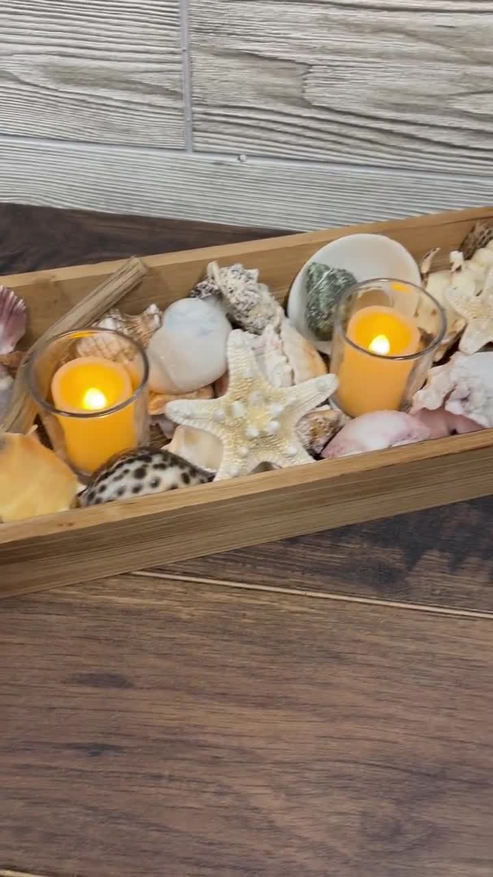 Sand And Sea Shell Table Centerpieces