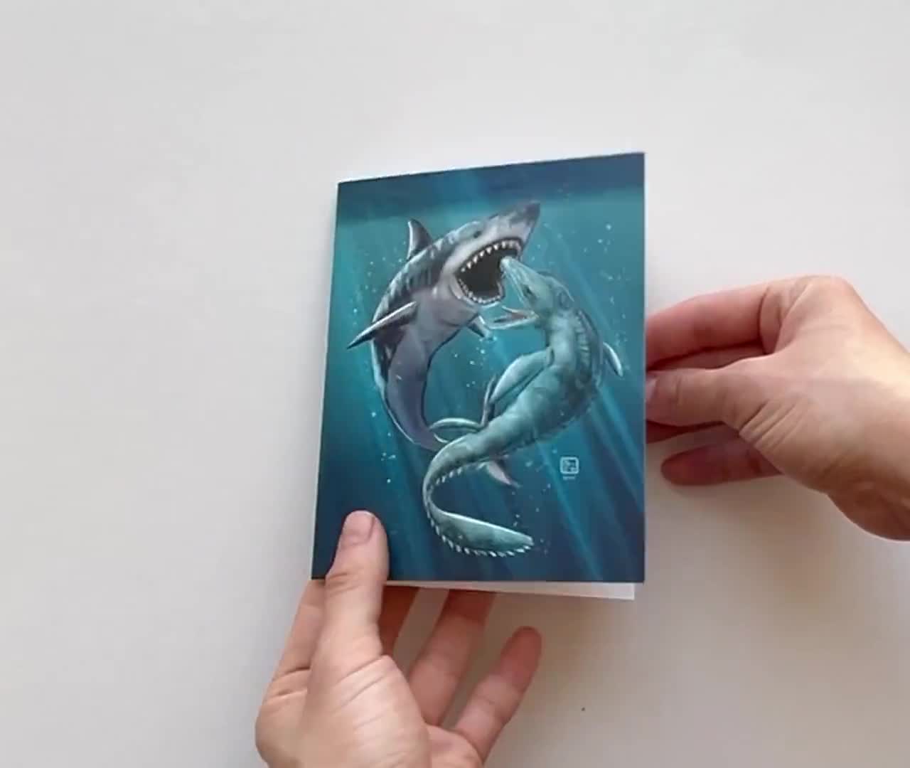 Megalodon Vs Mosasaurus