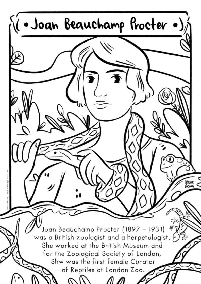 museum of natural history coloring pages