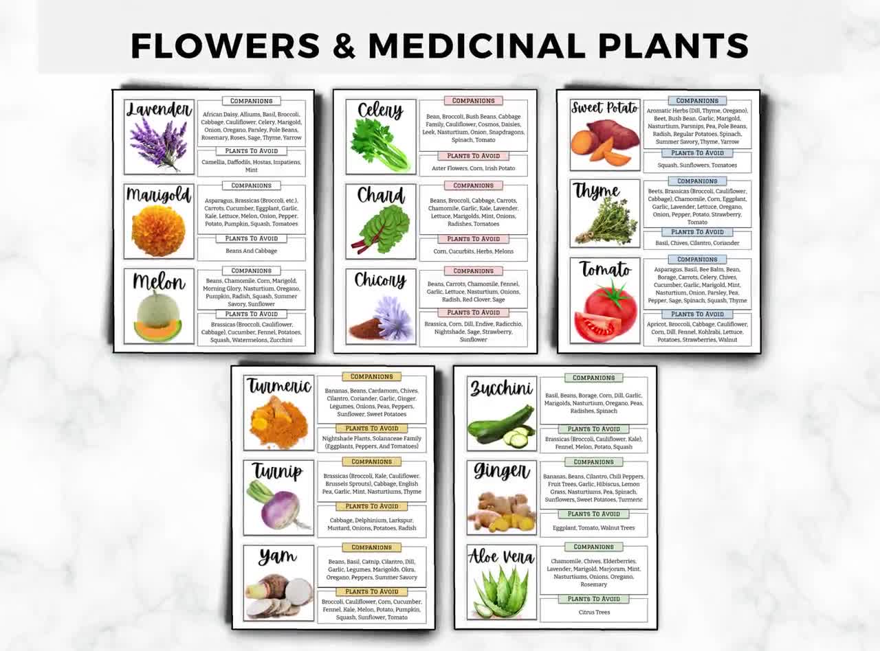 Companion Planting Color Chart Companion Planting: Best Plants To Grow