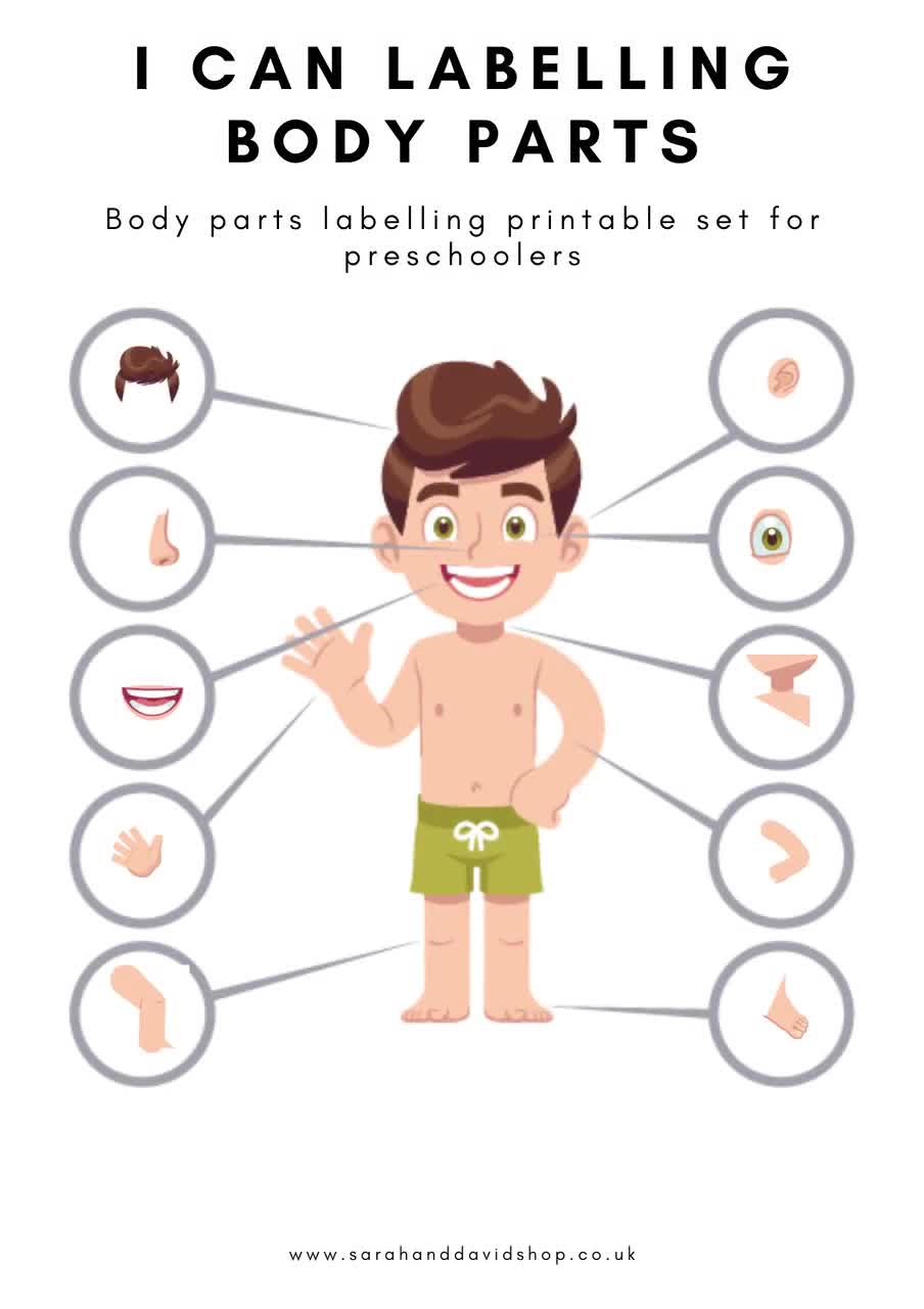 Human Body Parts For Kids Printable