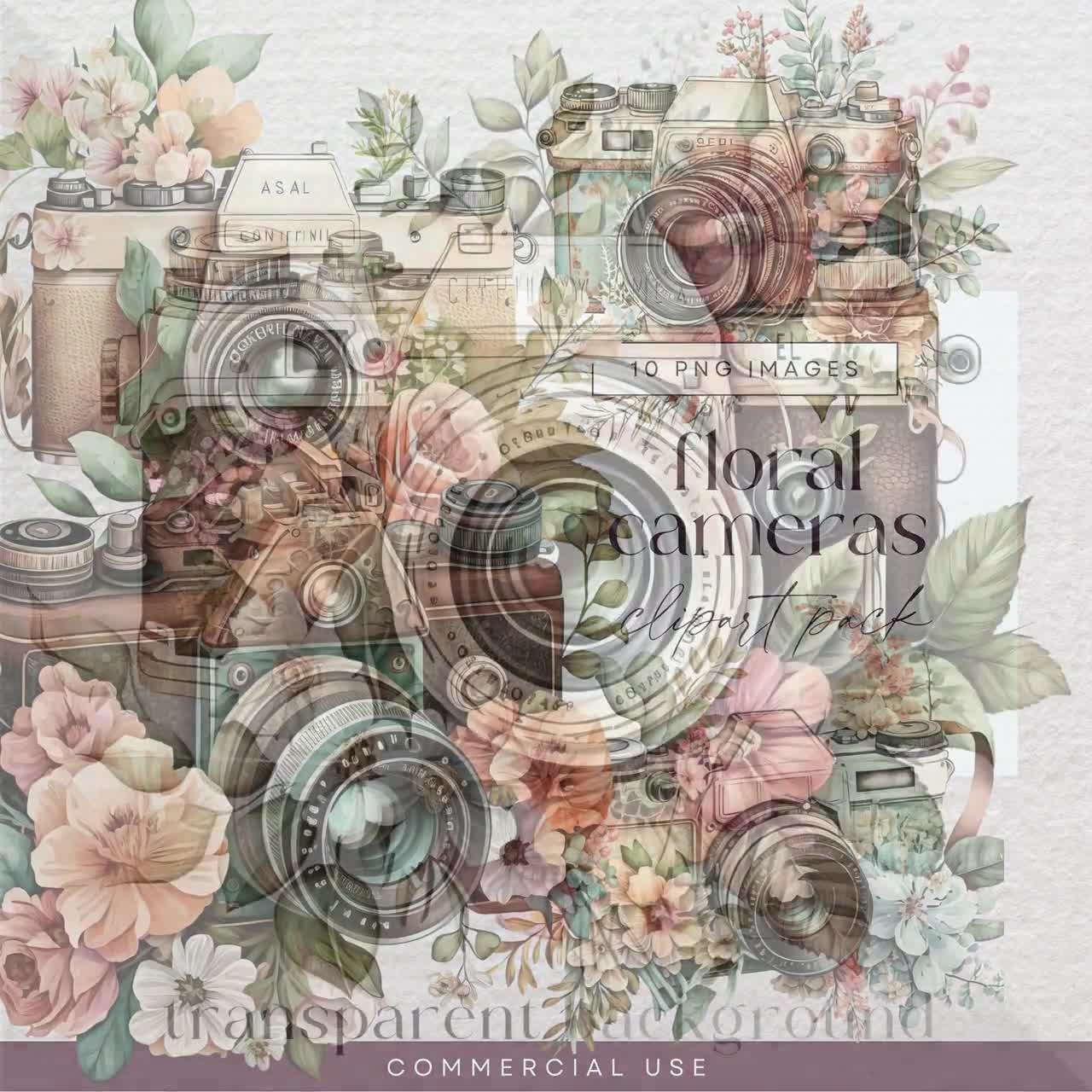 Cameras Clip Art Flower Painting