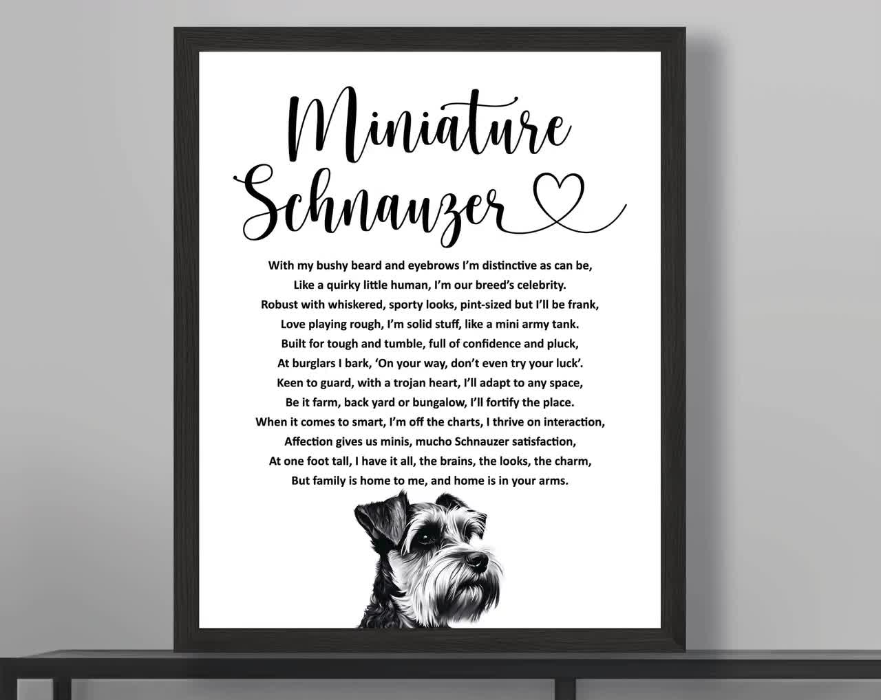 Funny Miniature Schnauzer Quotes Scotty The Handsomest Man: Funny